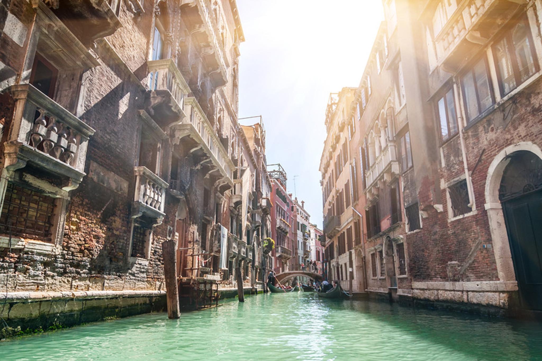 What to do in Venice: art, sport, shopping, food and wine | Almar